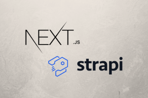 Data fetching with Next.js and Strapi CMS - LogRocket Blog
