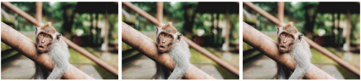 How to format quality images using AVIF, Squoosh, and go-avif ...