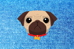 Pug.js tutorial: A beginner's guide with examples - LogRocket Blog