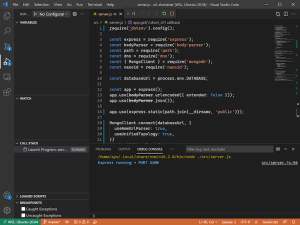 How to debug Node.js apps in Visual Studio Code - LogRocket Blog