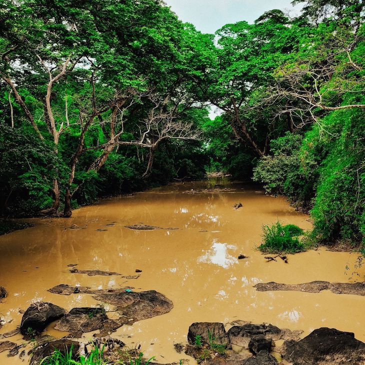 How to create NFTs with JavaScript - LogRocket Blog