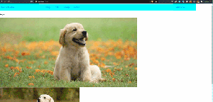 Creating a navbar in React - LogRocket Blog