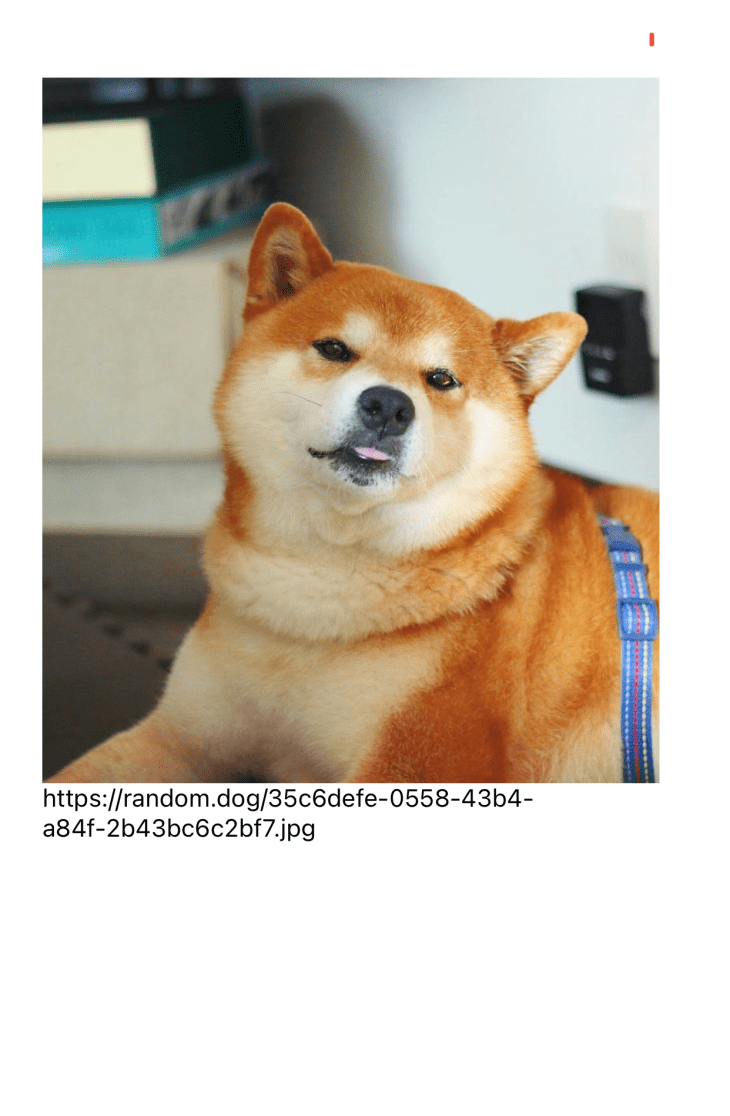 How to build iOS apps using React Native - LogRocket Blog