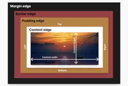 CSS Margin Vs Padding 