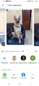 Flutter modal bottom sheet tutorial with examples - LogRocket Blog