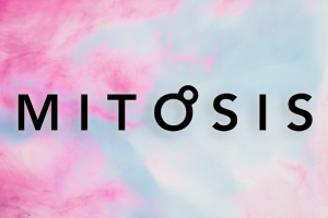 Create reusable components with Mitosis and Builder.io - LogRocket Blog