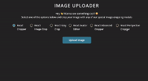 Top React image cropping libraries - LogRocket Blog