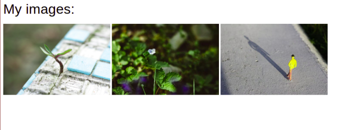 A guide to Material Design with React - LogRocket Blog