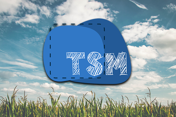 Using Tsm As A Shebang Interpreter In Typescript Logrocket Blog 5403