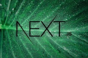 Build a privacy-focused comments section on your Next.js blog ...