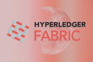 Hyperledger Fabric: Develop permissioned blockchain smart contracts ...