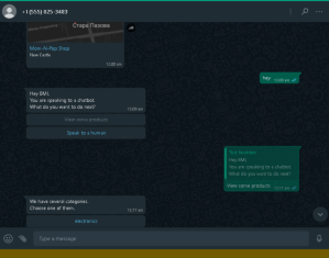 Build an automated ecommerce app with WhatsApp Cloud API and Node.js ...