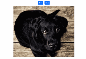 Handling Bootstrap integration with Next.js - LogRocket Blog