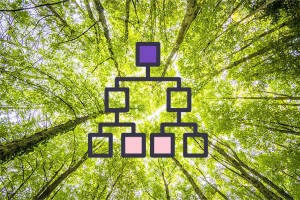 Opportunity solution trees: Definition, examples, and how-to ...