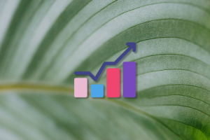 What is a growth product manager? Role, skills, job description ...