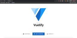 Using The V switch Vuetify Component
