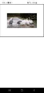 Demystifying React Native Redash and Gesture Handler - LogRocket Blog