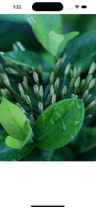 Using react-native-cameraroll to enable camera roll access - LogRocket Blog