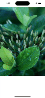 Using react-native-cameraroll to enable camera roll access - LogRocket Blog