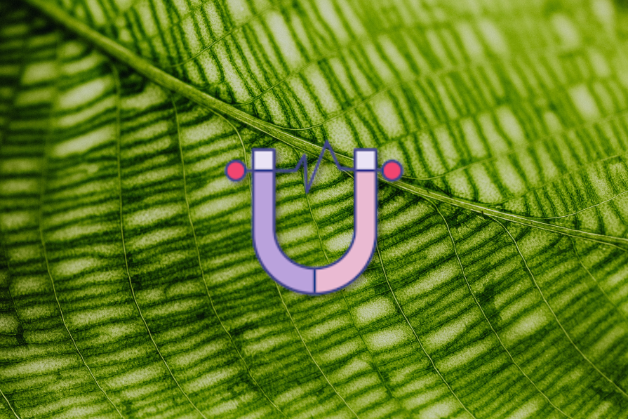 A guide to churn - LogRocket Blog