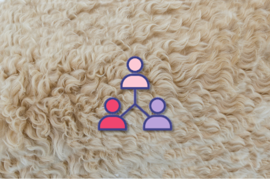 Understanding and applying the Delphi technique - LogRocket Blog