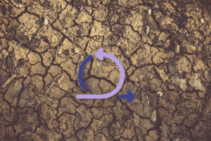 Understanding the difference between output and outcome - LogRocket Blog