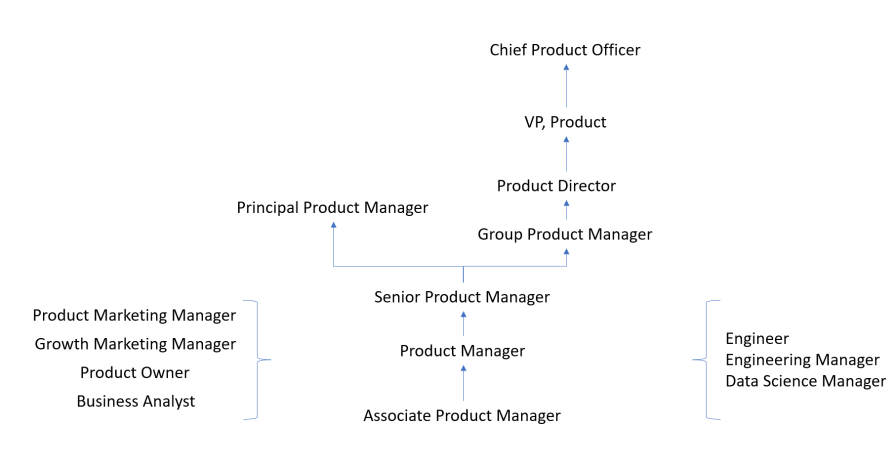 Charting the product manager career path - LogRocket Blog