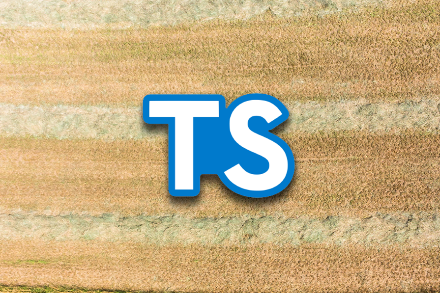 Leveraging TypeScript branded types for stronger type checks ...