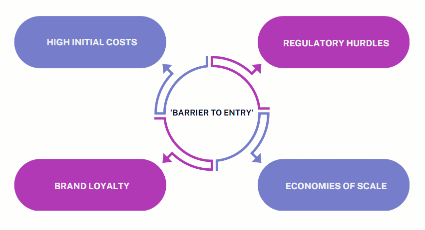 Understanding barriers to entry: Types, examples, and impact ...