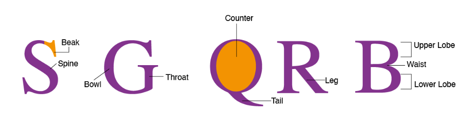 Typography anatomy: Understanding the parts of a letter - LogRocket Blog