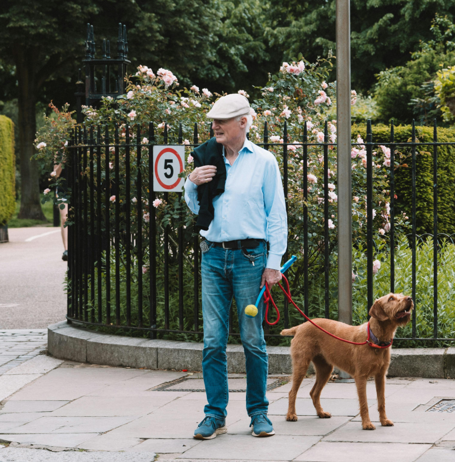 Using the golden ratio in UX design - LogRocket Blog