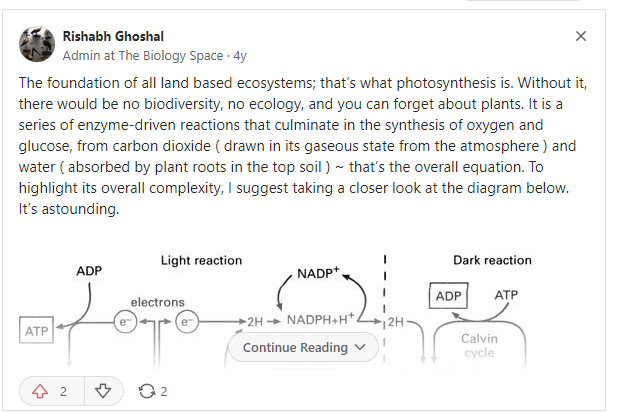 Combining UX and SEO: An SEO guide for UX designers - LogRocket Blog