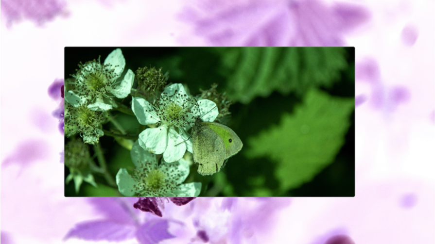 How to use the CSS backdrop-filter property - LogRocket Blog How to use the CSS backdrop-filter property - LogRocket Blog