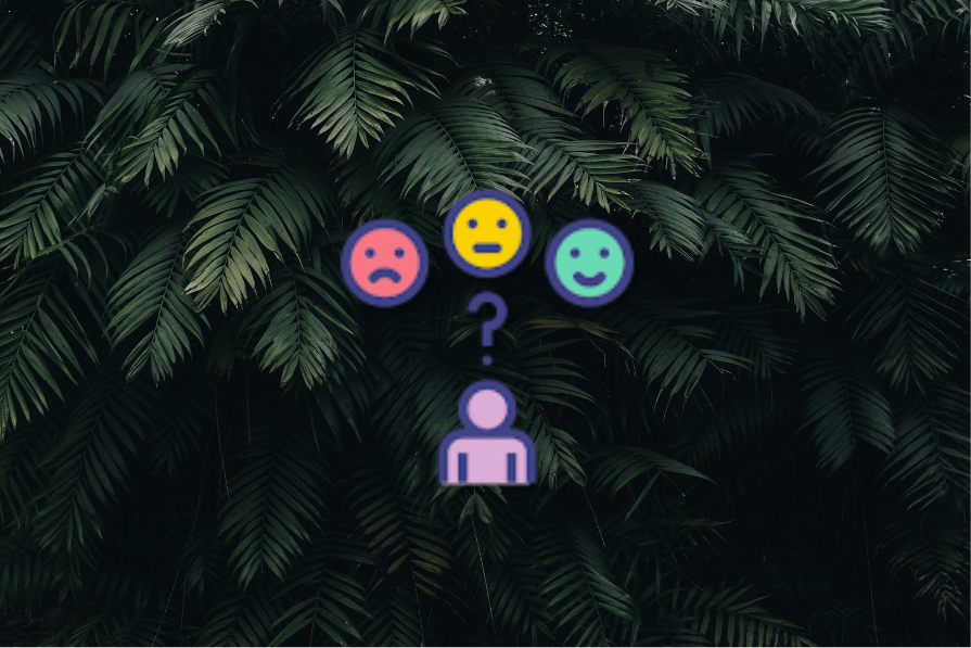 Understanding detractors: Impact and strategies - LogRocket Blog