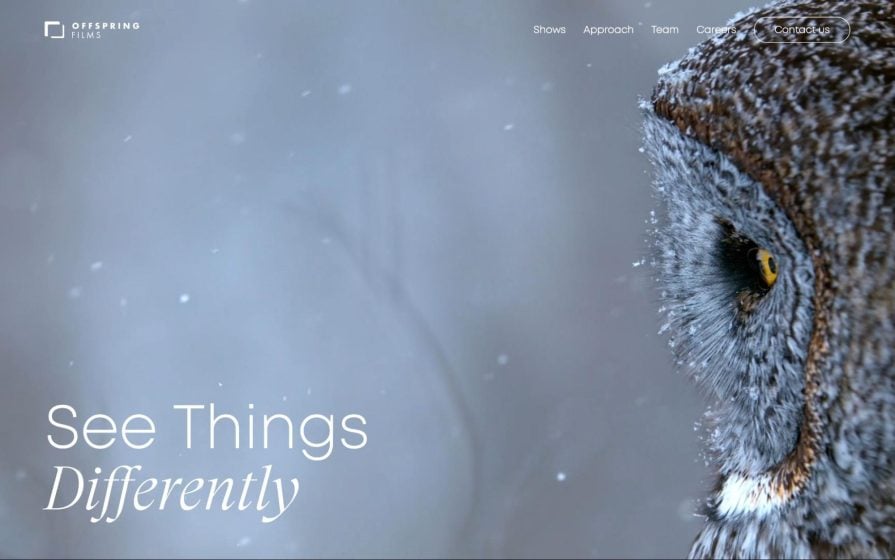 Applying the principles of design variety in UX designs - LogRocket Blog